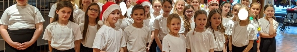 Le choeur de l'école du Triolet a égayé le coeur d | CSSRDN