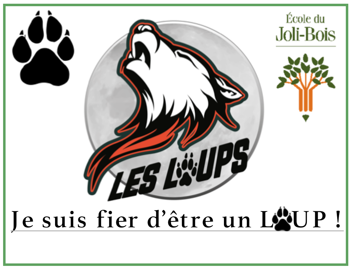 Un dévoilement attendu à l’école du Joli-Bois | CSSRDN