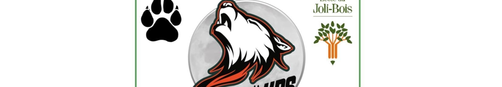 Un dévoilement attendu à l’école du Joli-Bois | CSSRDN